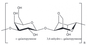Learn What Is Agar Agar (E406): Source, Types, Uses and Safety